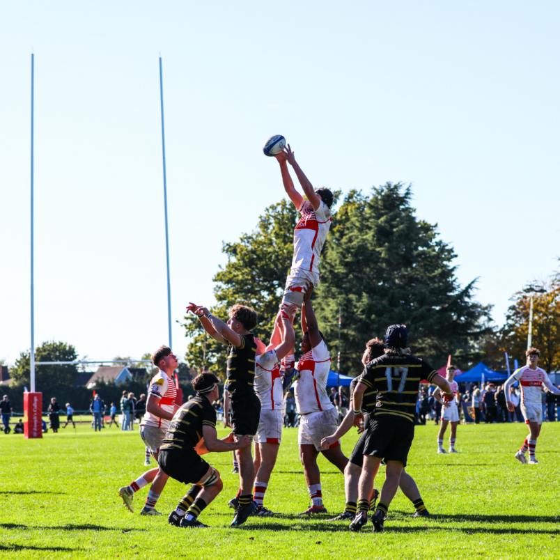 Rugby Festival | St Joseph's College